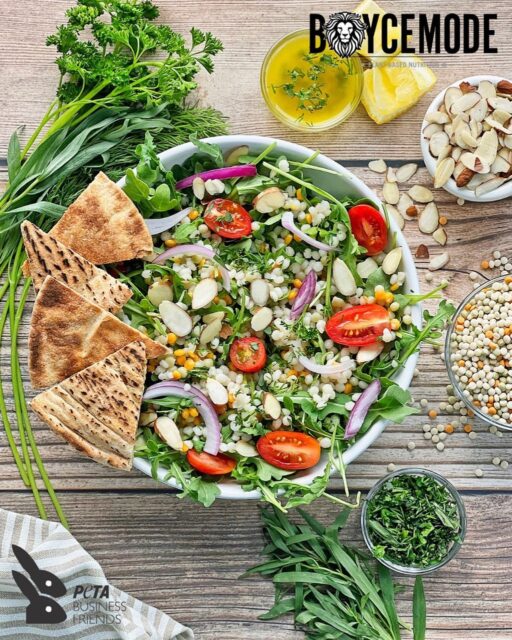 Boyce Mode - 100% Plant Based – 100% Delicious