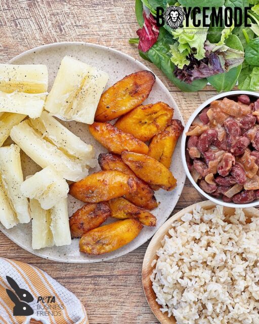 Boyce Mode - 100% Plant Based – 100% Delicious