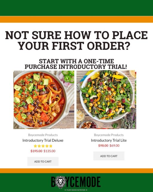 Meal Replacement Breakfast Smoothies - Boyce Mode