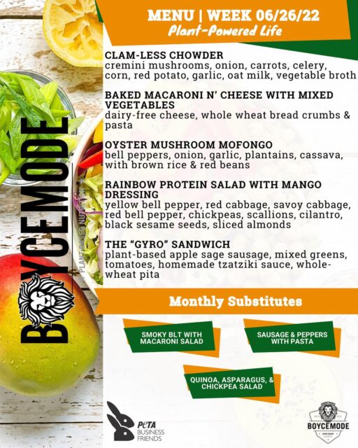 Meal Replacement Breakfast Smoothies - Boyce Mode